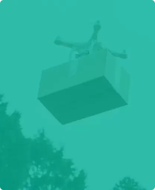 ICAERUS | Models and Algorithms